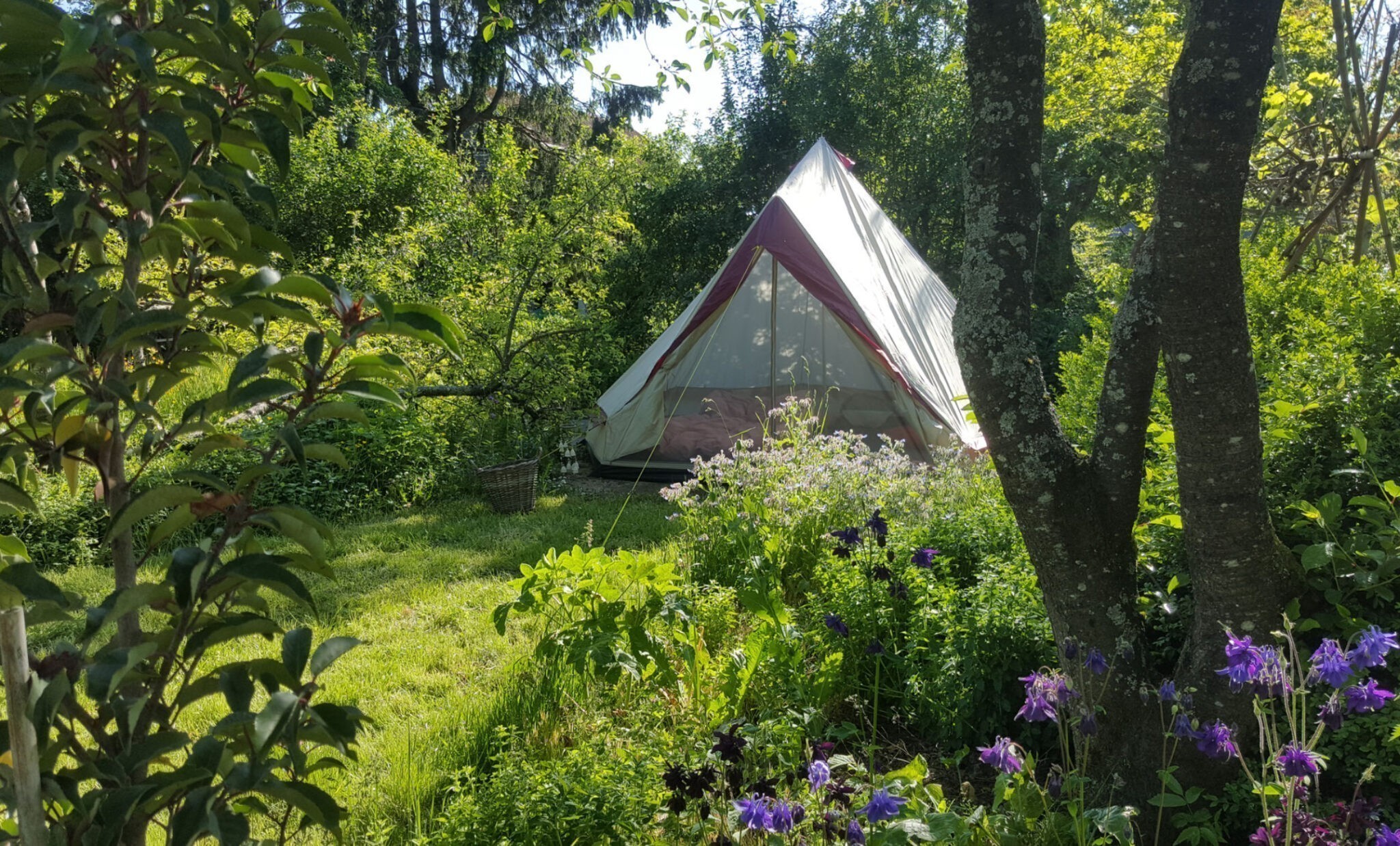 Minicamping Lepelie Rustiek kamperen of logeren